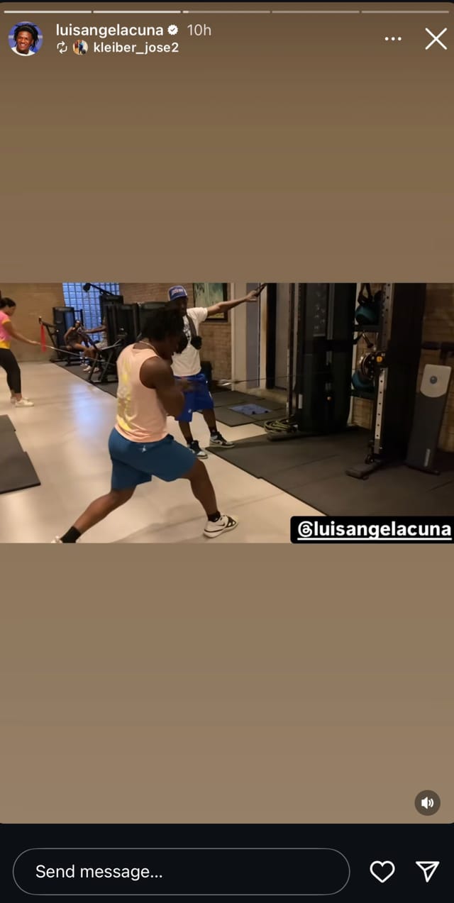 Ronald Acuna Jr.'s brother Luisangel shows off intense gym workout ...