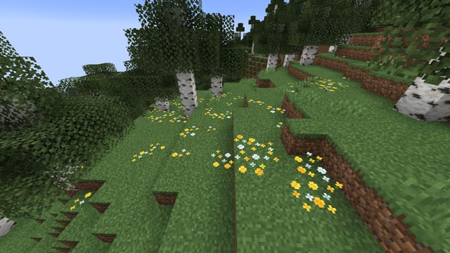 Minecraft might finally be getting Birch Forest revamp shown back in 2021