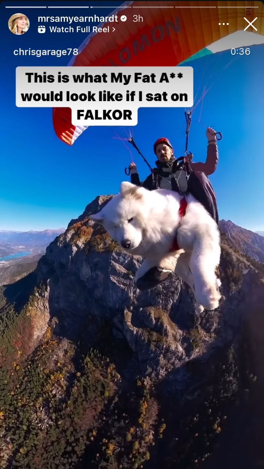 Dale Earnhardt Jr's wife Amy relates to comical reel featuring man ...