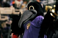 Who is the Baltimore Ravens' Mascot The Poe?