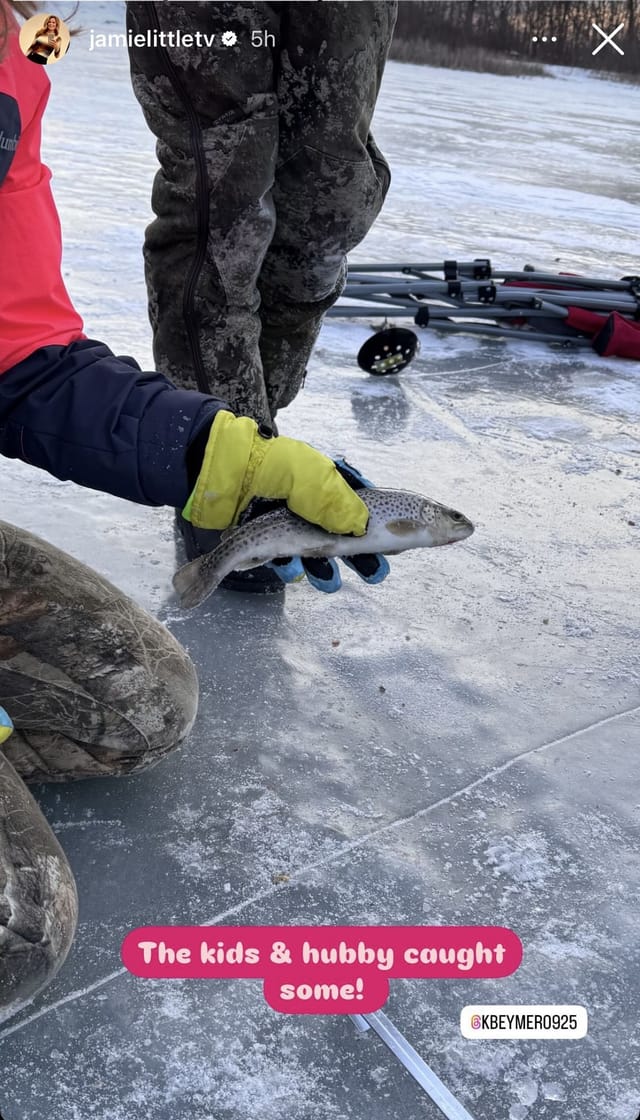 NASCAR reporter Jamie Little drops 2-word reaction regarding recent ...