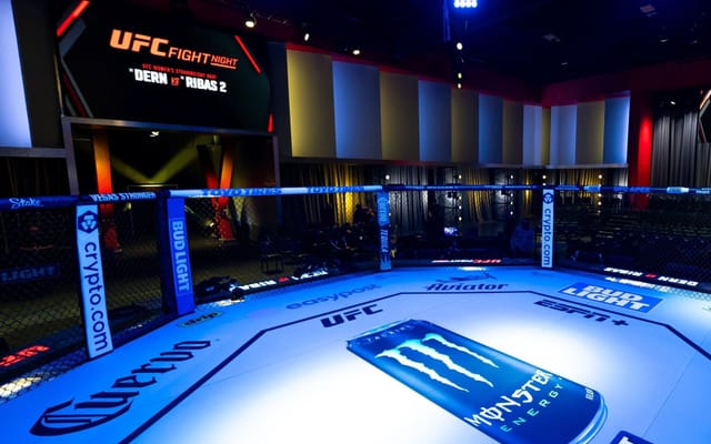 Female Russian fighter addresses slapping coach after TKO loss at UFC ...