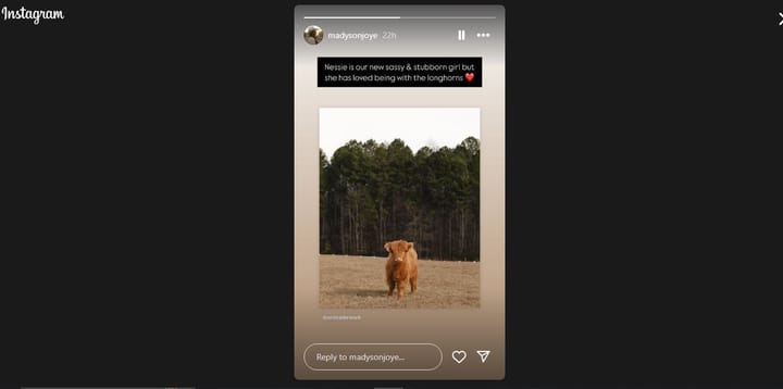 Ricky Stenhouse Jr.'s wife Madyson introduces new member to their 300 ...