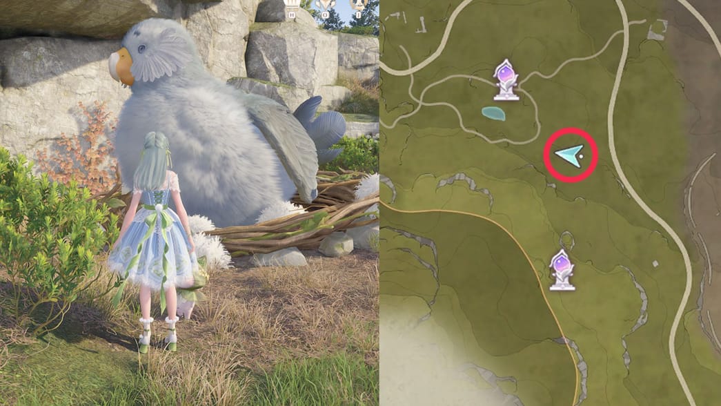 Infinity Nikki: Sky Monarch locations and how to ride