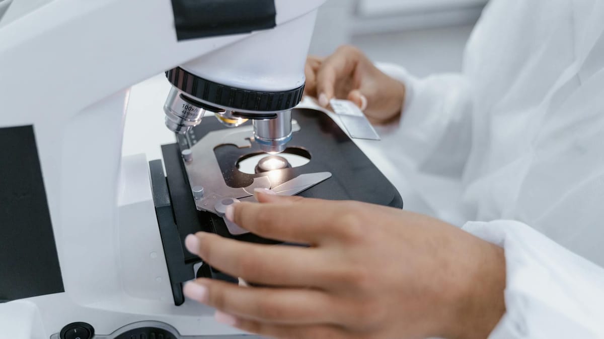 Where are Tyler and Violet Papini now? Details about ABC's Perfect Wife ...