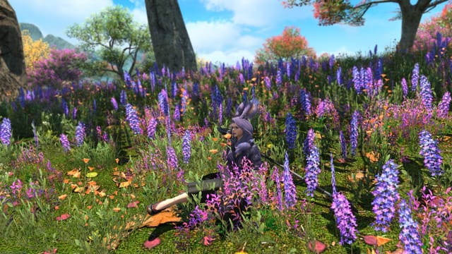 FFXIV Login Campaign guide: How does it work?