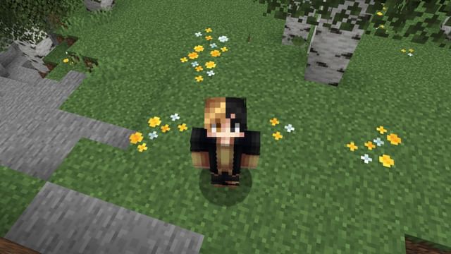 Minecraft: How to get and use wildflowers