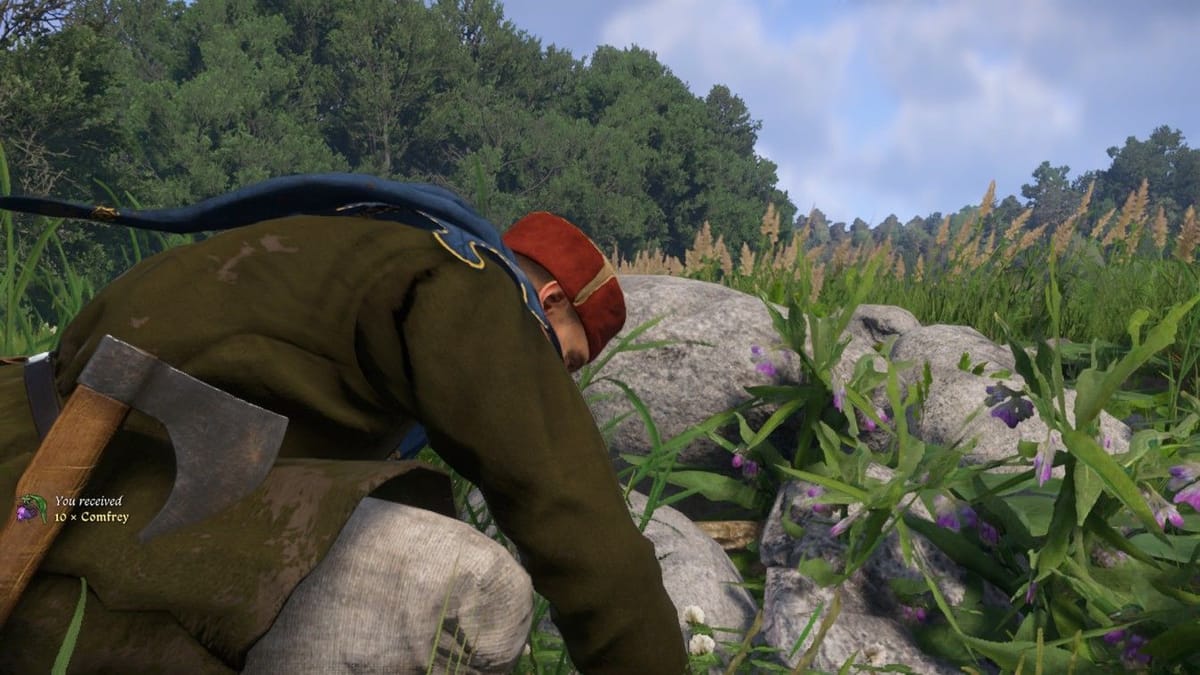 How to find Comfrey in Kingdom Come Deliverance 2