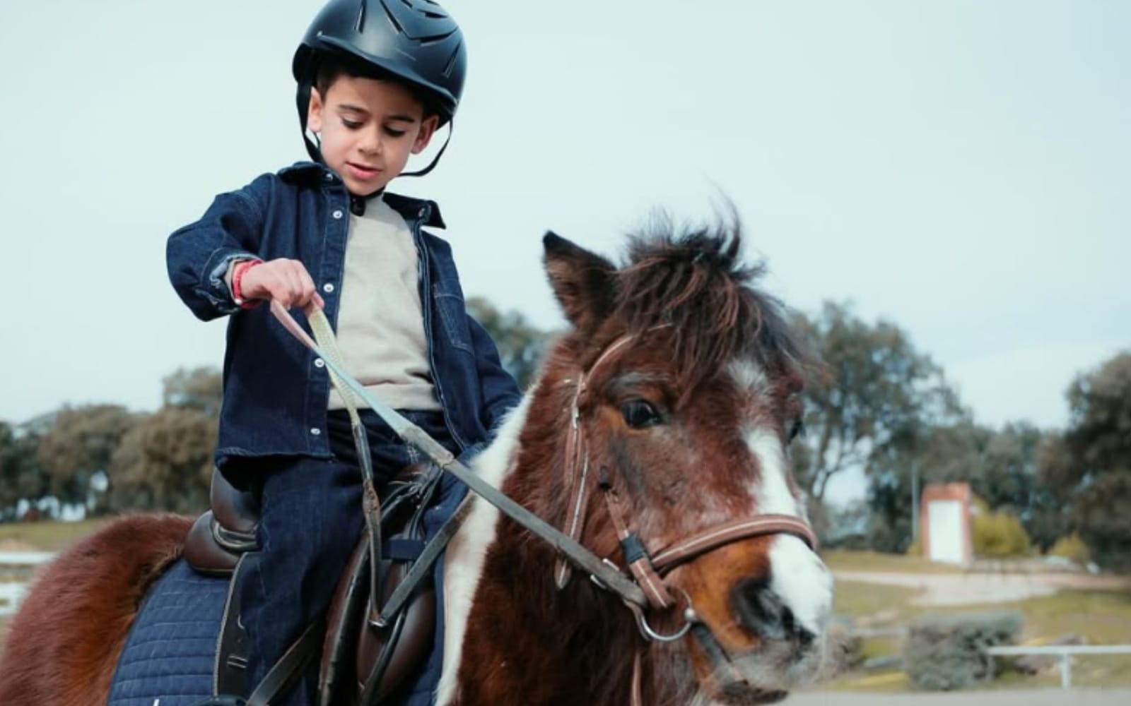 Giorgina Uzcategui: Photos: Ilia Topuria shares heartwarming family ...