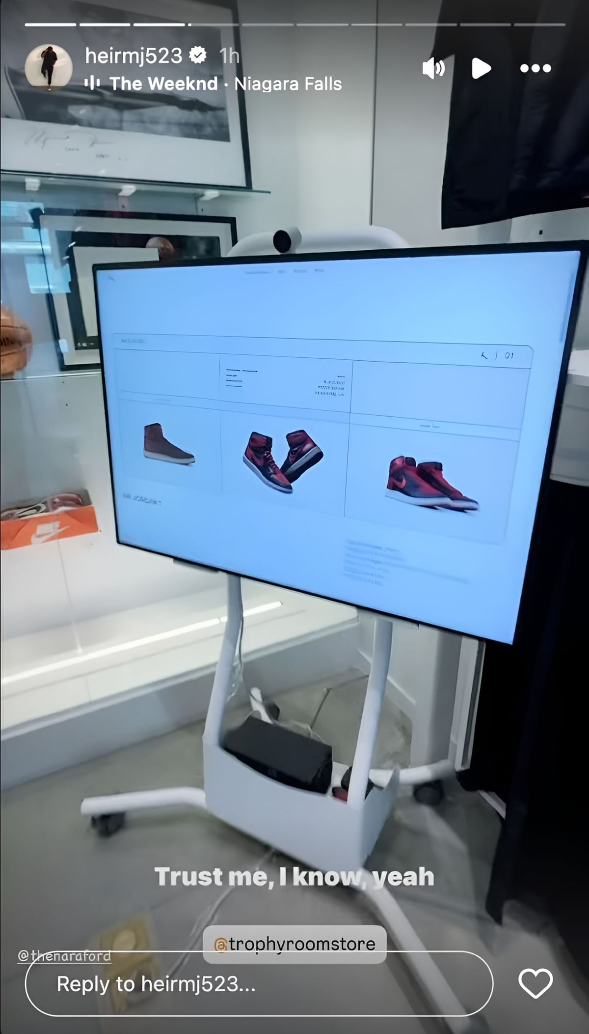 Michael Jordan's son Marcus Jordan reunites with IG model after drug ...