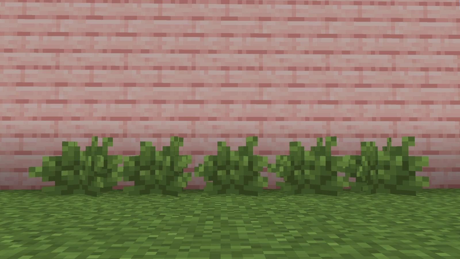 Minecraft: All new blocks coming in first game drop of 2025