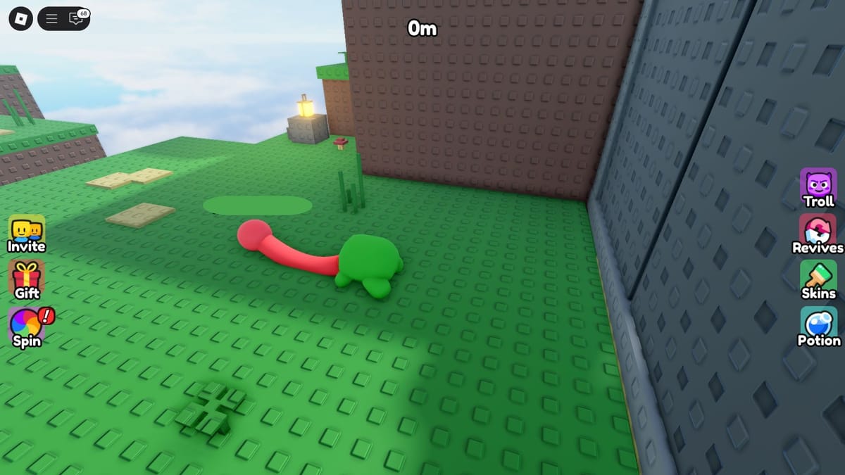 Froggie: A beginner's guide