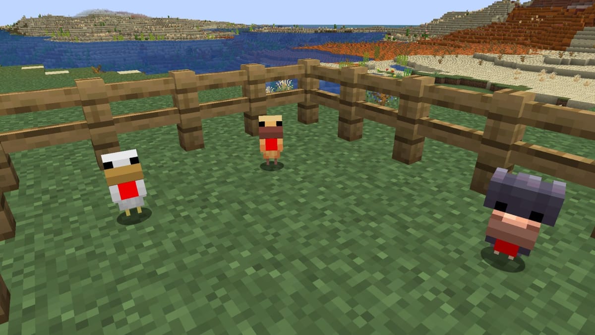Minecraft chicken variants: Everything you need to know
