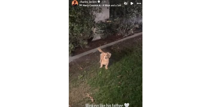 "Winking like his father": Charles Leclerc shares adorable picture with ...
