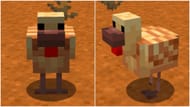What do new Minecraft chickens look like?