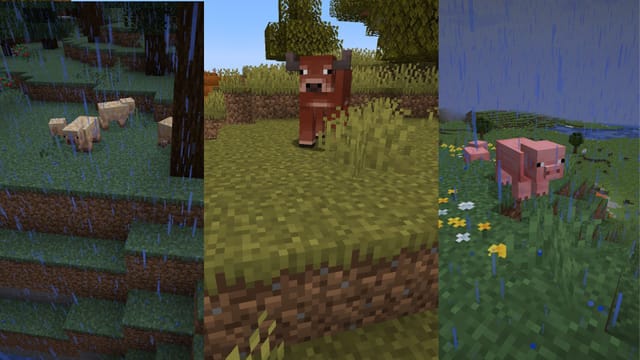 How do the new Minecraft animal variants work?