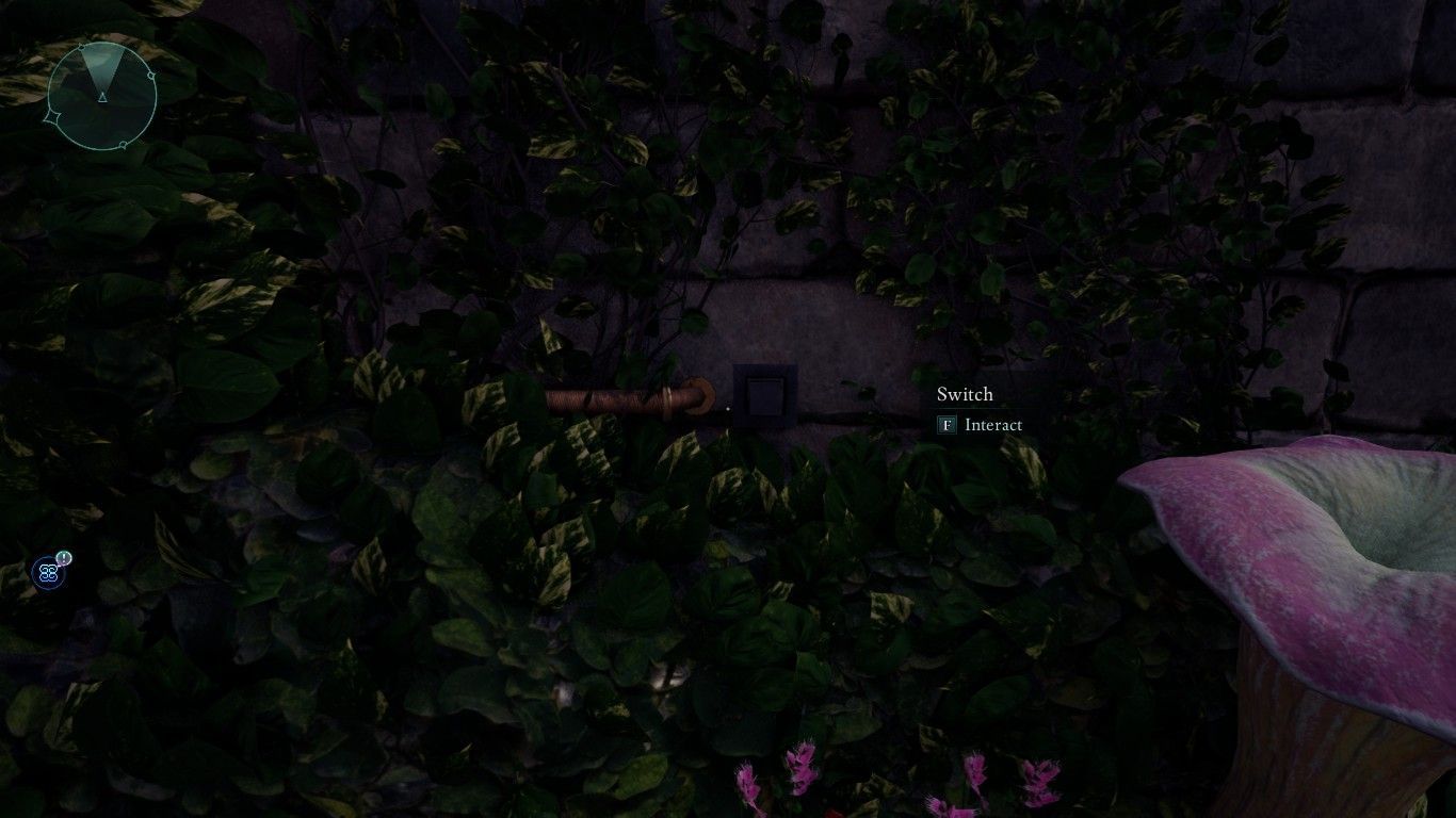 Avowed Woedica's Inheritance Treasure Map guide