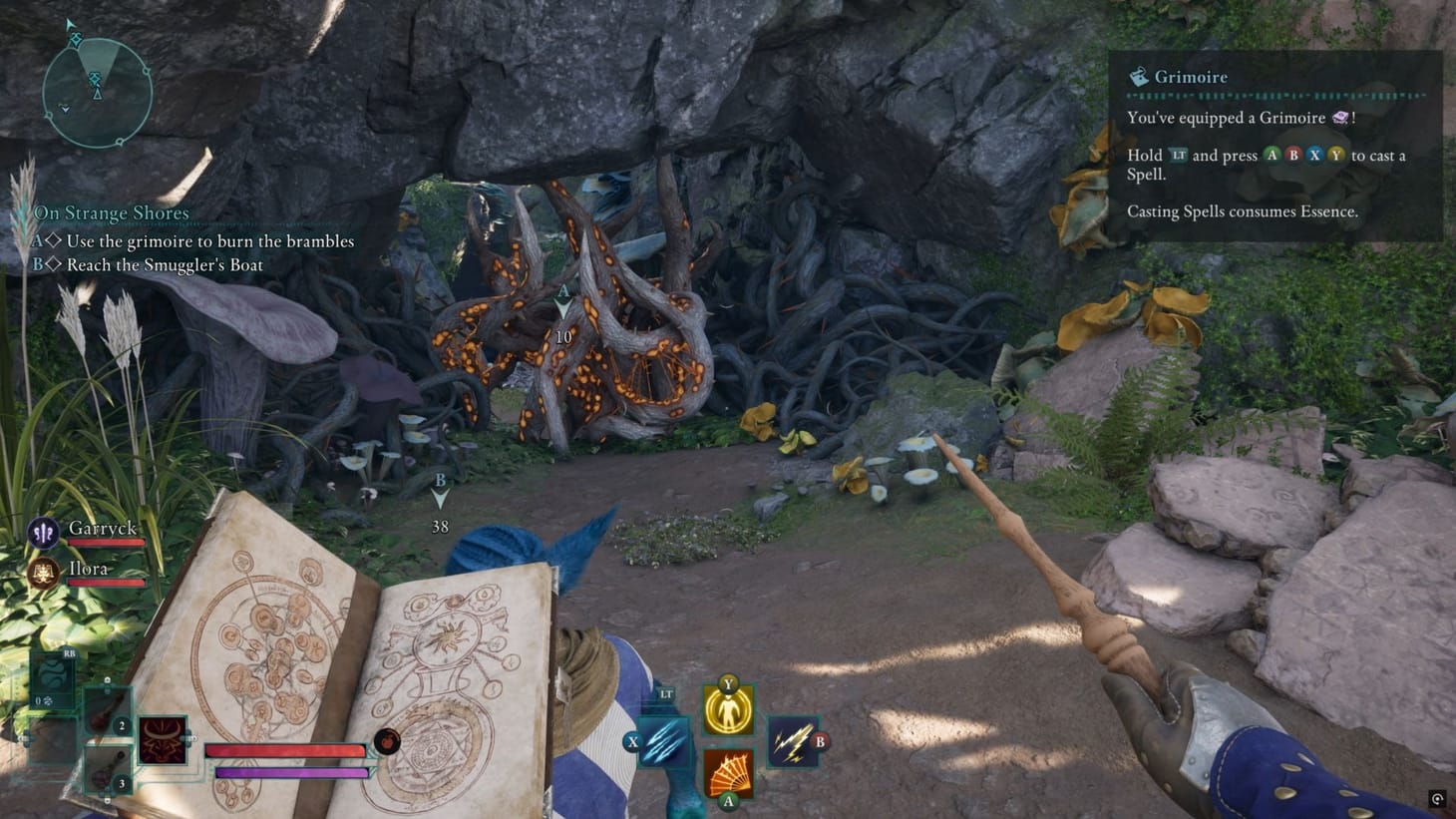 Avowed On Strange Shores quest guide: Should you save Ilora?