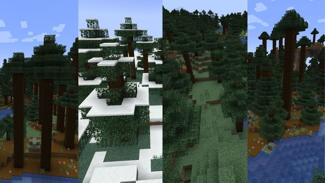 Ranking all the taiga biomes in Minecraft