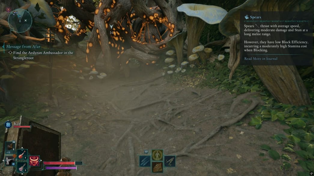 Avowed: Message from Afar quest walkthrough