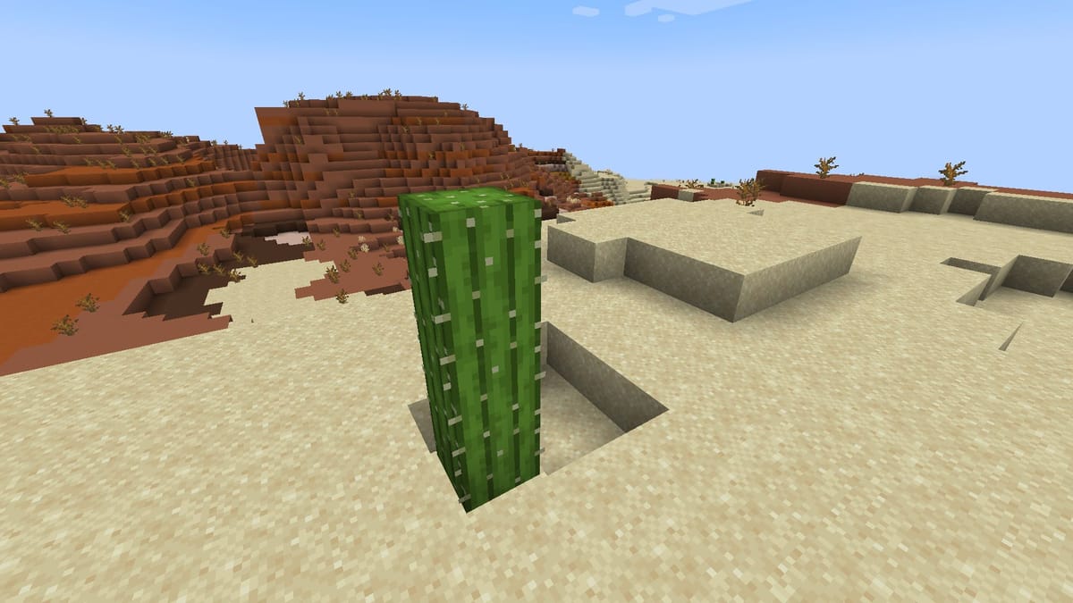 How to obtain cactus without desert in Minecraft