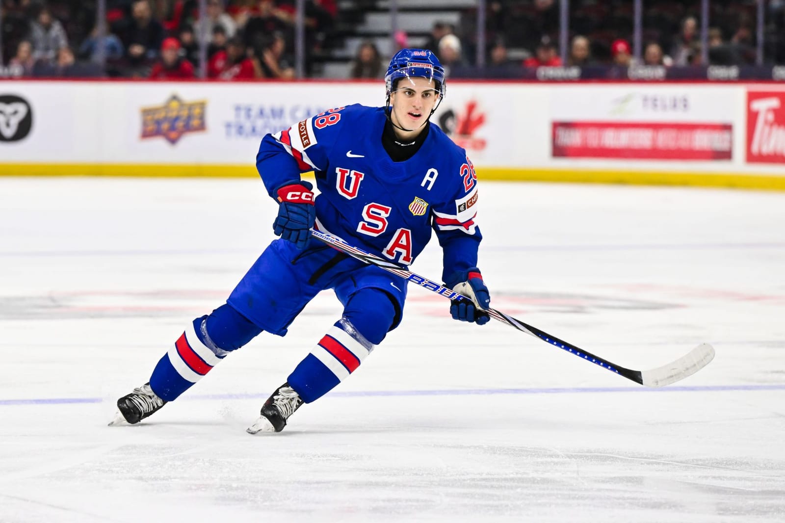 Zeev Buium biography and more