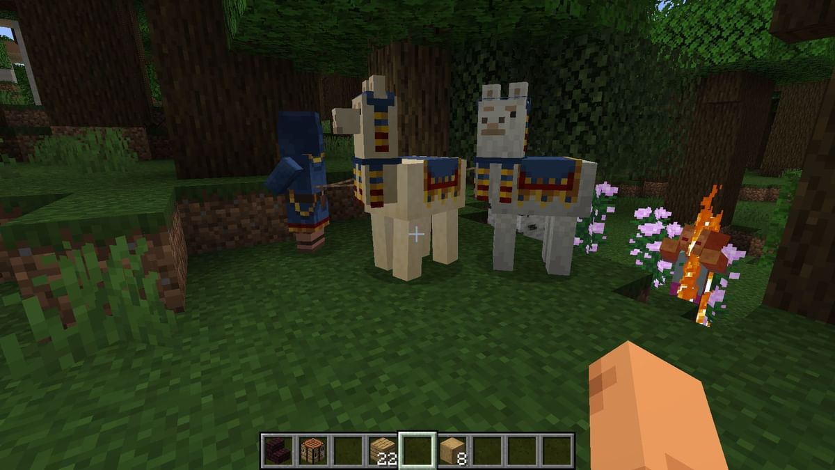 Minecraft Snapshot 25w07a changes sheep spawning and adds new trader items