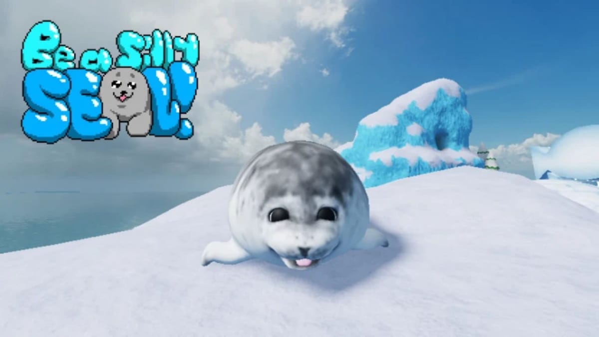 Be a Silly Seal: A beginner’s guide