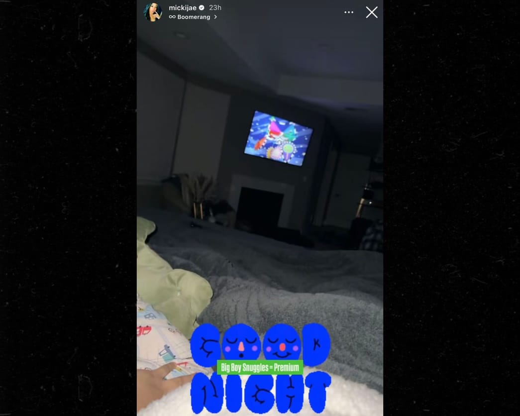 Michael Jordan's daughter Jasmine Jordan enjoys snuggles with ‘big boy ...
