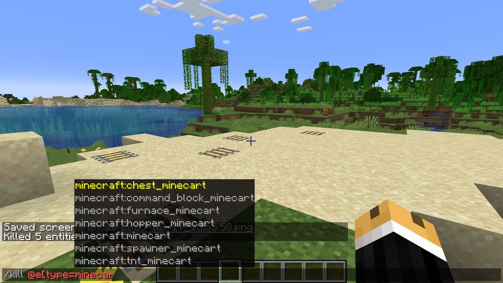 How to remove all minecarts in Minecraft