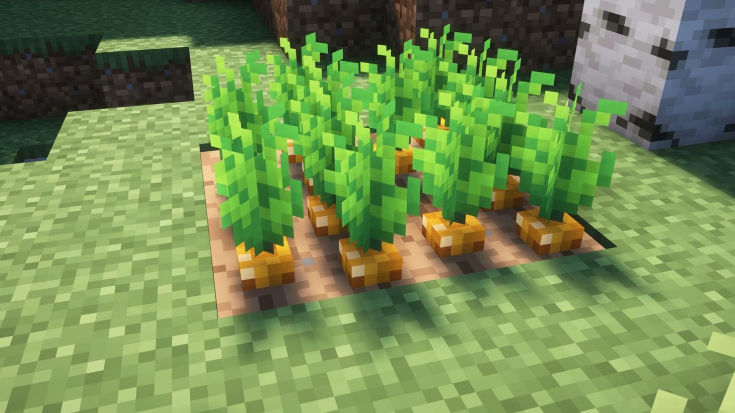 6 best vanilla-friendly Minecraft resource packs