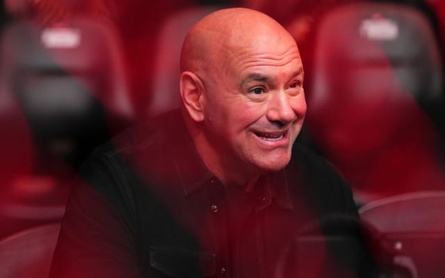 MMA News: Referee blasted for UFC Seattle outcome, Dana White addresses ...