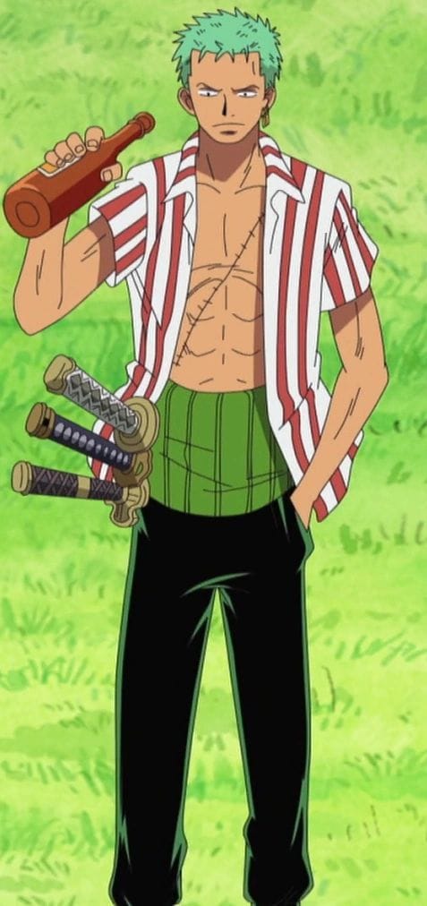 Who is Roronoa Zoro in One Piece?