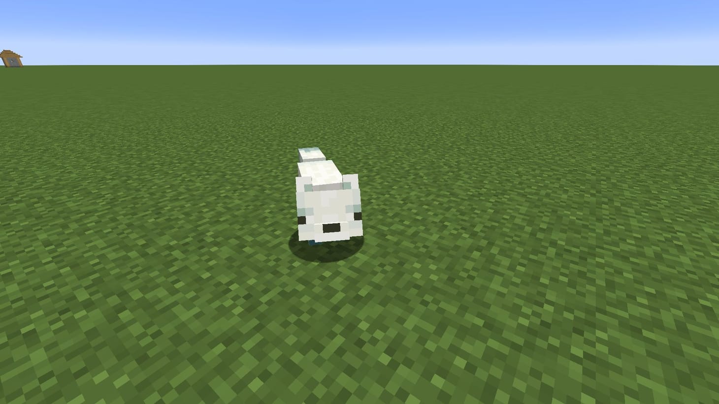 How to spawn an arctic fox in Minecraft
