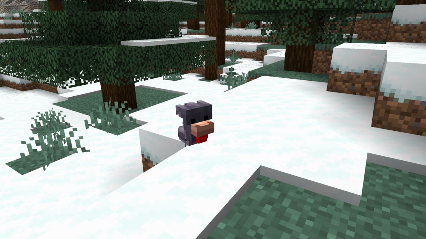 How to find cold and warm chicken in Minecraft
