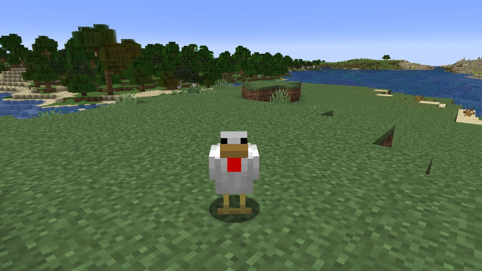 Minecraft chicken variants: Everything you need to know