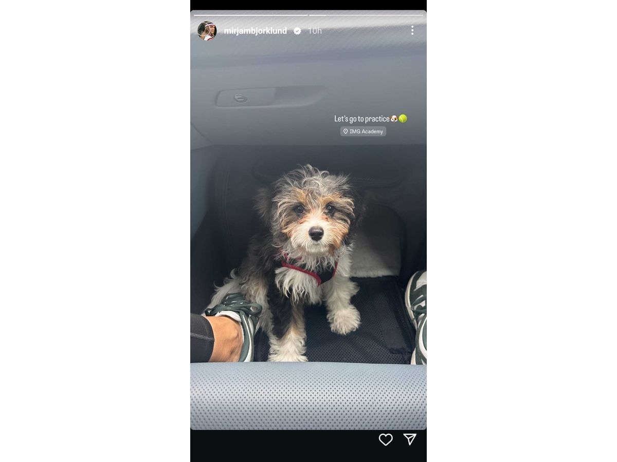 Days after Denis Shapovalov and fiancee Mirjam Bjorklund become parents ...