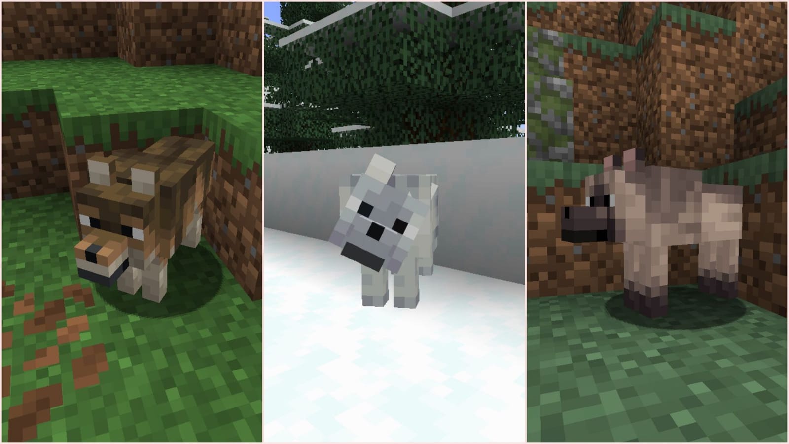 How Mojang massively improved Minecraft wolf in recent updates