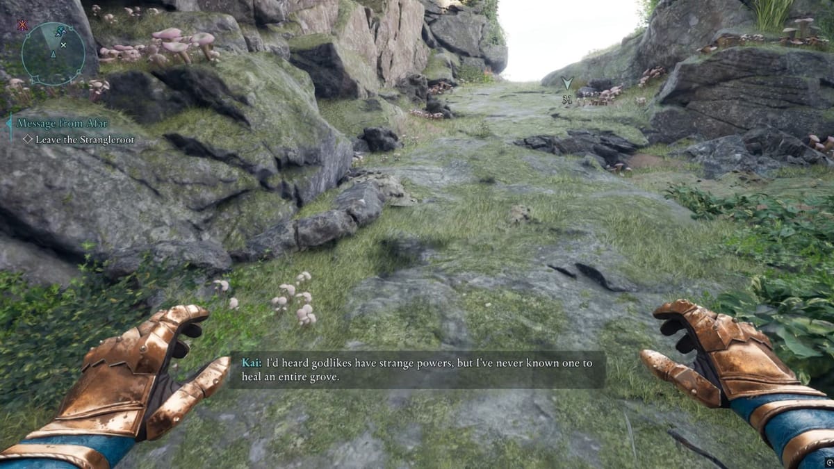 Avowed: Message from Afar quest walkthrough