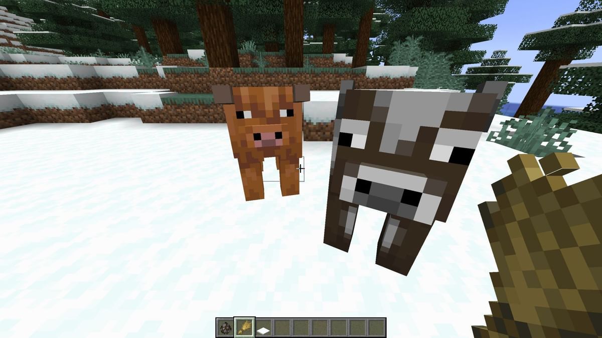 Minecraft cow variants: Everything you need to know