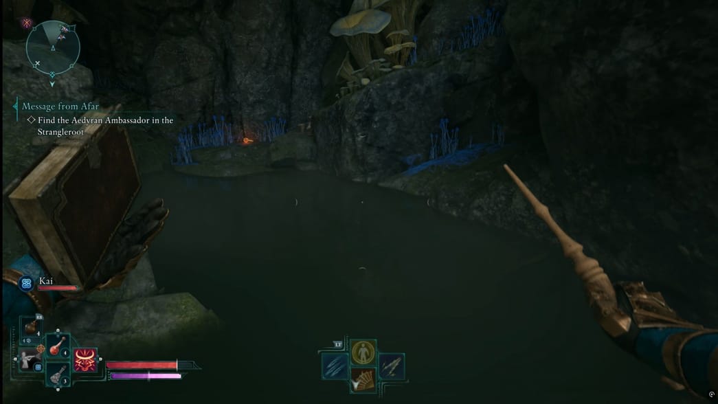 Avowed: Message from Afar quest walkthrough