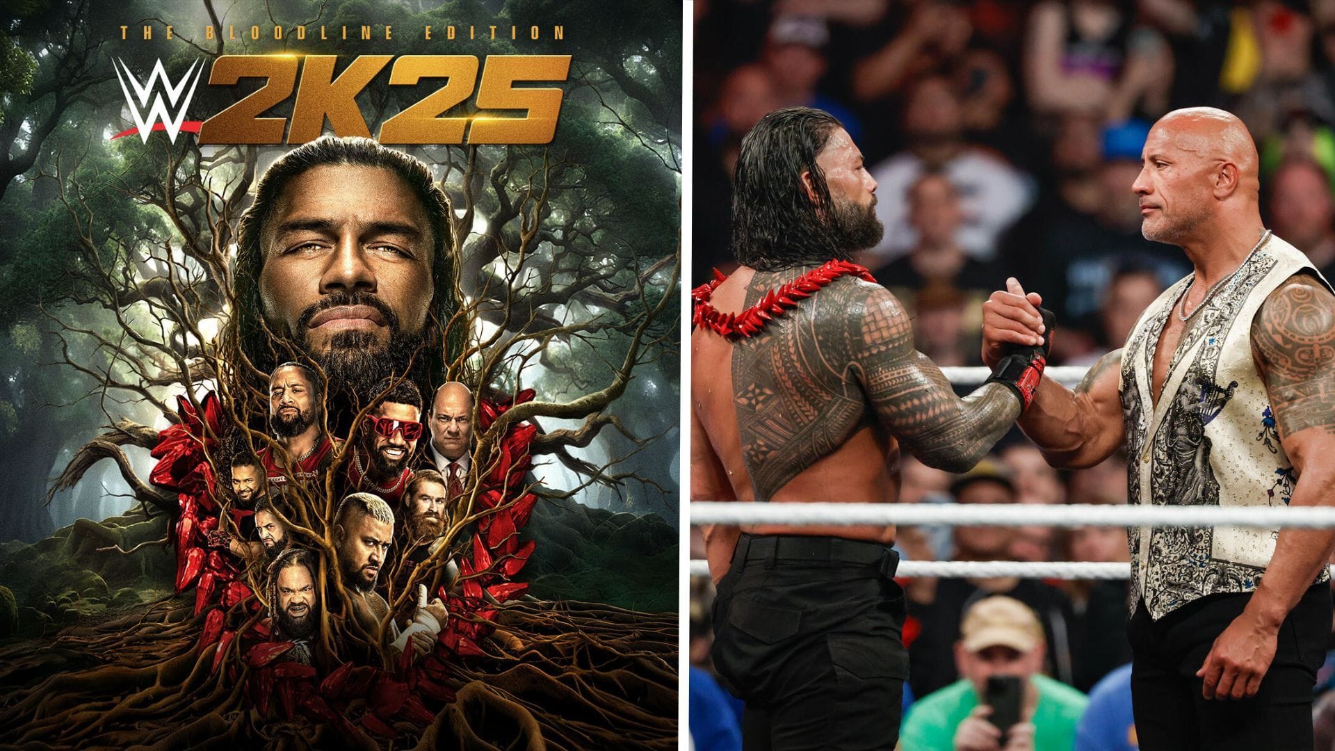 4 real-life Bloodline members that are a part of the WWE 2K25 roster