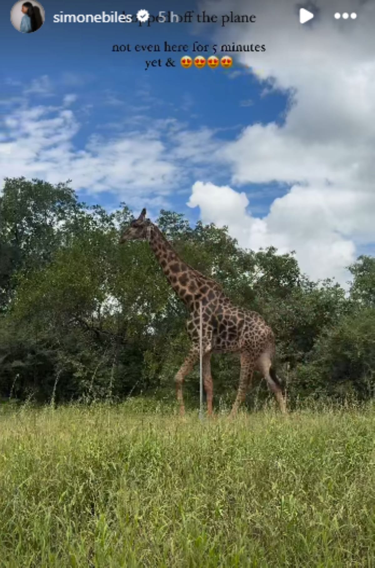 Simone Biles gushes over her visit to national park as she spots ...
