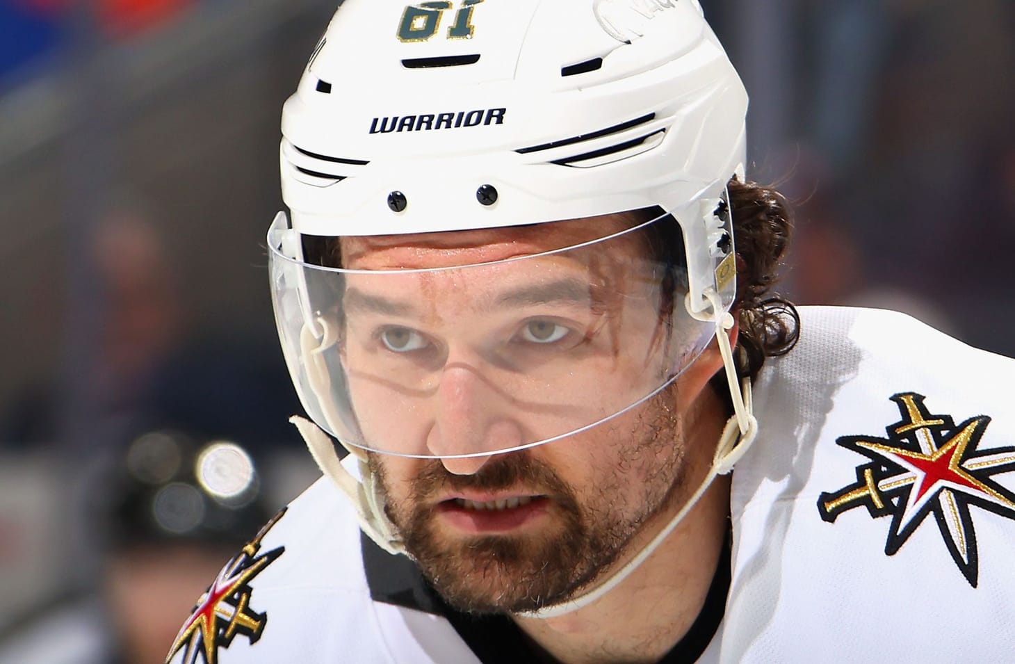 Who is Mark Stone’s Wife? | Meet Hayley Thompson