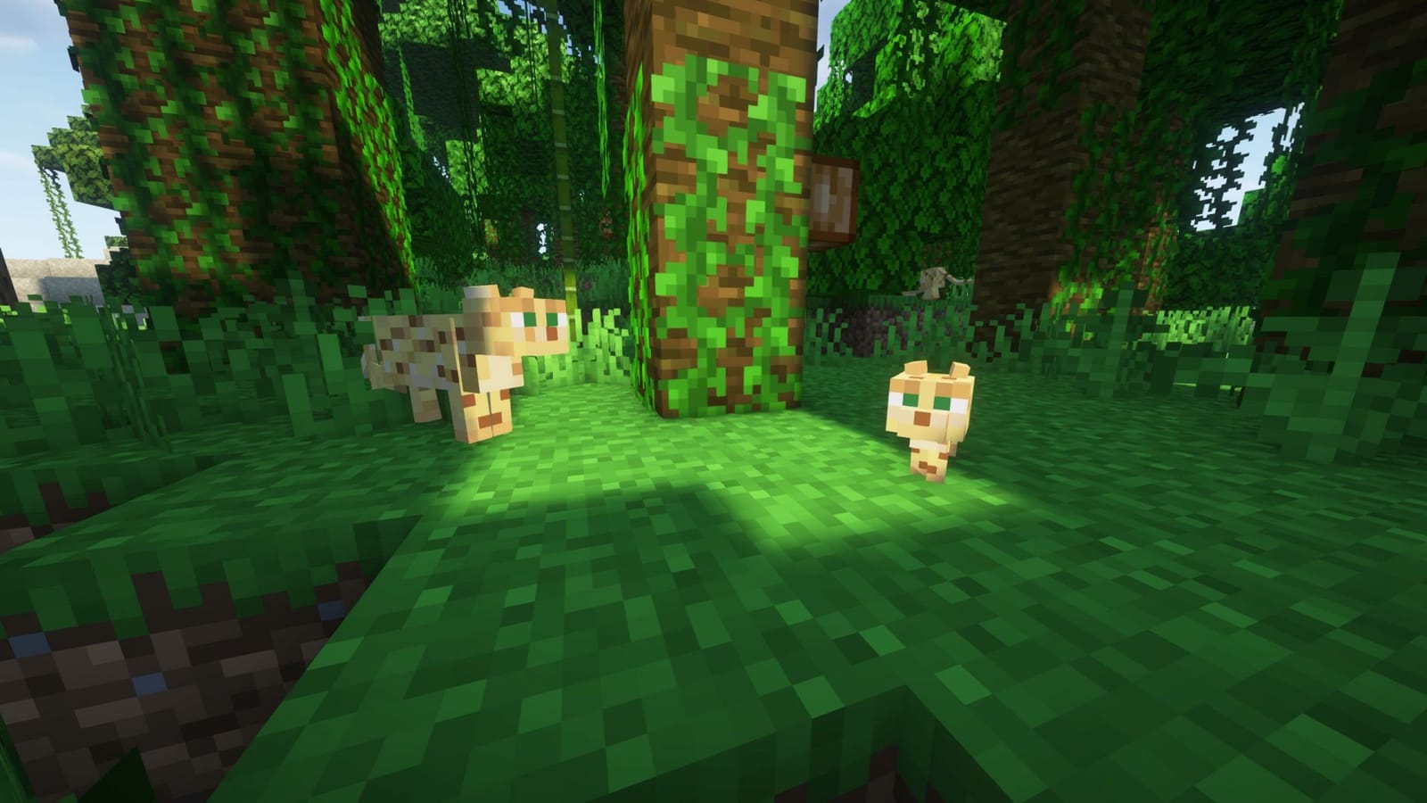 Minecraft ocelot guide: Location, taming, and more
