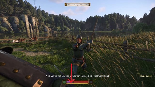 Managing stamina in Kingdom Come Deliverance 2, explained