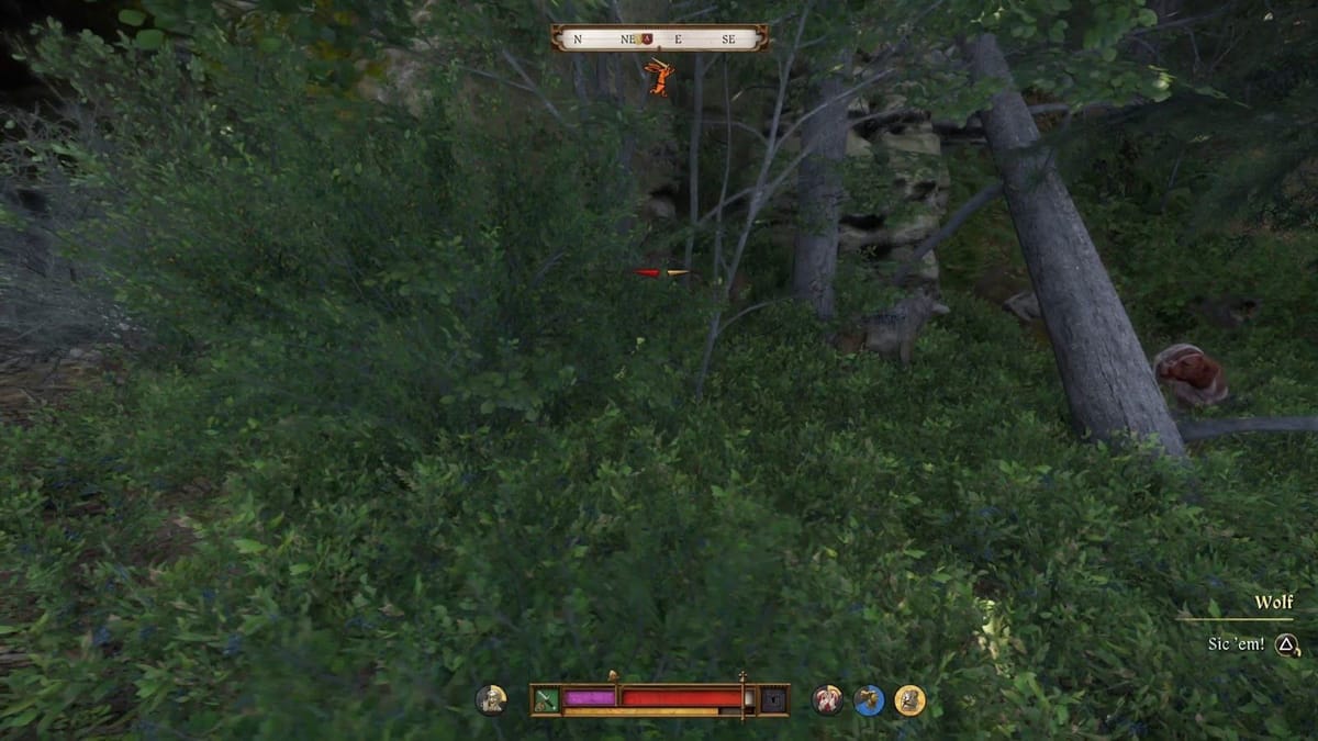 Everything you need to know about hunting in Kingdom Come Deliverance 2