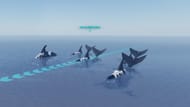 Fisch Orca Migration Hunt event guide