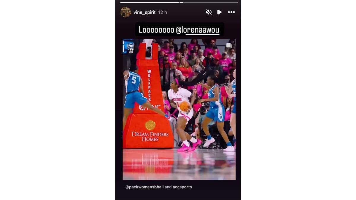 LSU signee Divine Bourrage shares 1-word reaction as college hooper ...