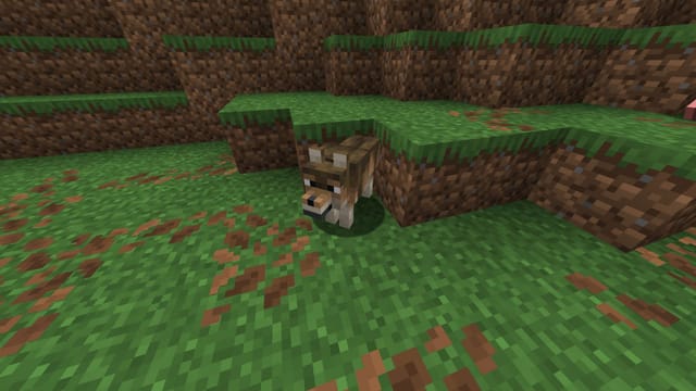 New leaf litter changes in Minecraft are a step in the right direction ...